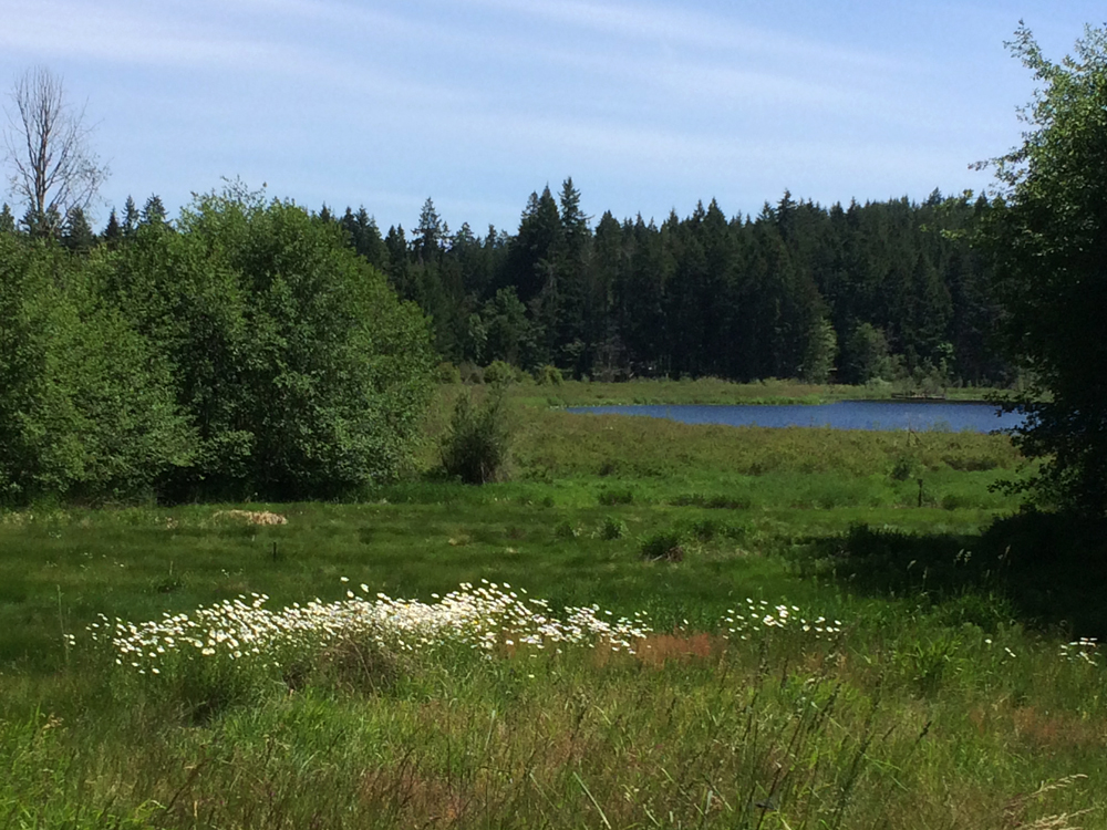 Conserving land on Salt Spring Island | Denisekathleen's Weblog